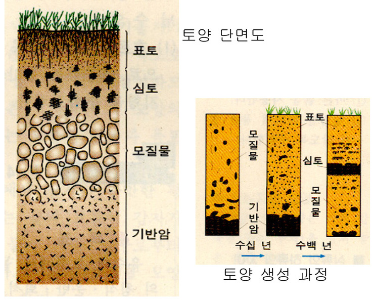 지표의 변화 풍화 작용 유수의 작용 침식 선상지 우각호 지하수의 작용 석회암 동굴 종유석 파도의 작용 빙하의