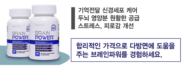 기억력향상 머리좋아지는약 지케이비타 웰스톤 브레인파워 네이버 블로그