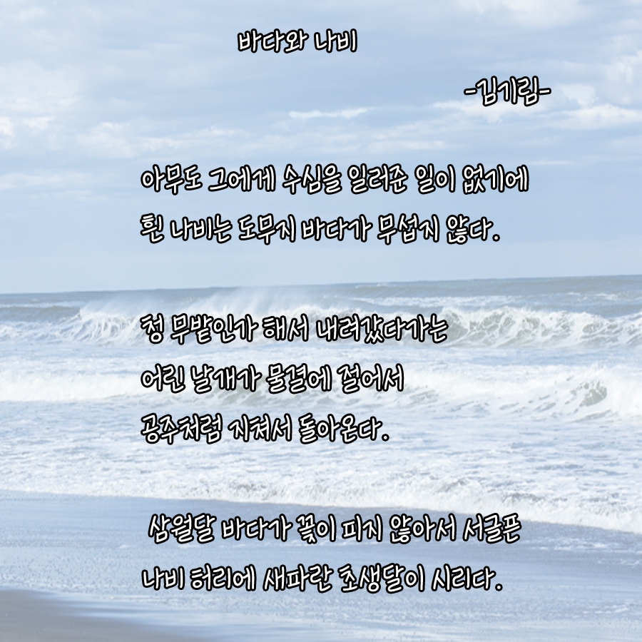 바다와 나비김기림 해석 문제 네이버 블로그
