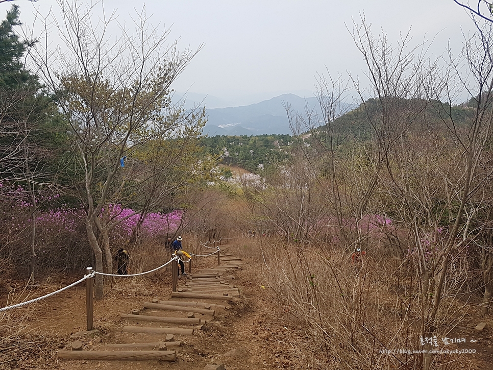 창원 천주산 등산코스 천주암 용지봉 네이버 블로그