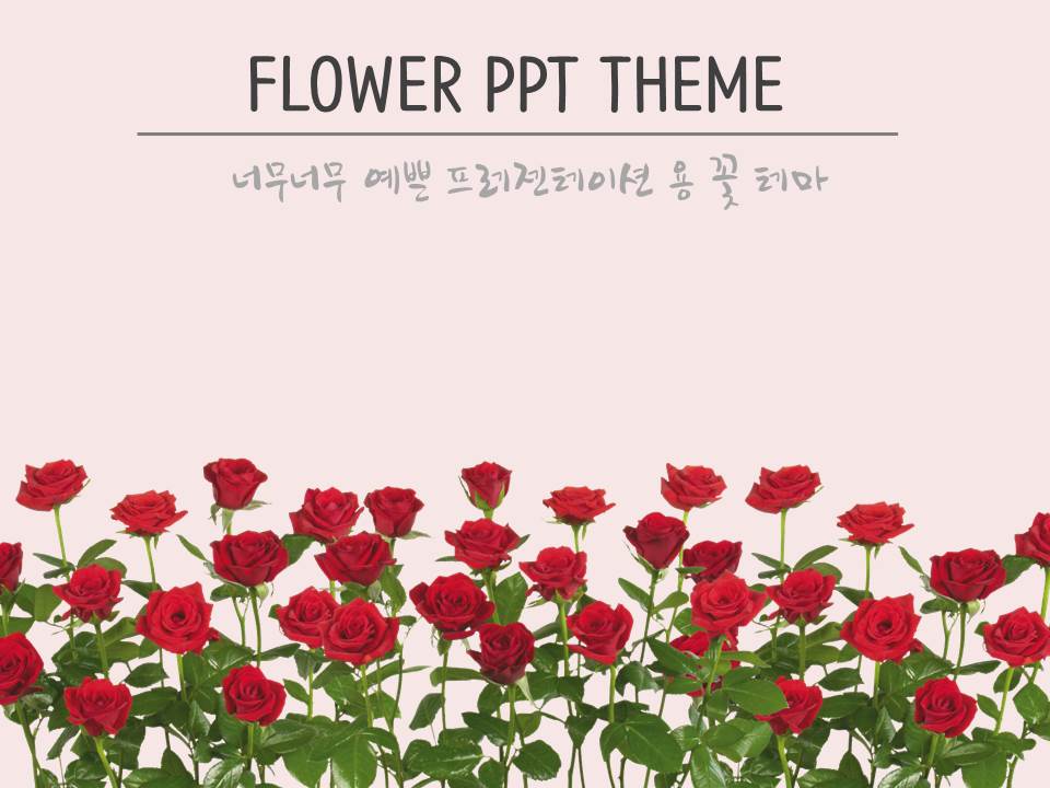 예쁜 Ppt 테마 꽃 피피티 템플릿 무료 공유 네이버 블로그