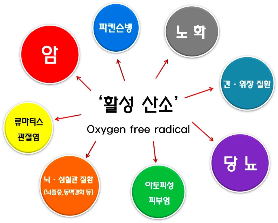 활성산소검사항산화력and산화스트레스 검사 양·한방협진 첨단한방병원 한방암치료 네이버 블로그