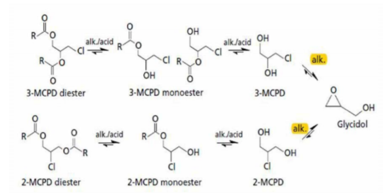 3-MCPD esters, 2-MCPD esters,Glycidyl esters 분석방법 정리 : 네이버 블로그