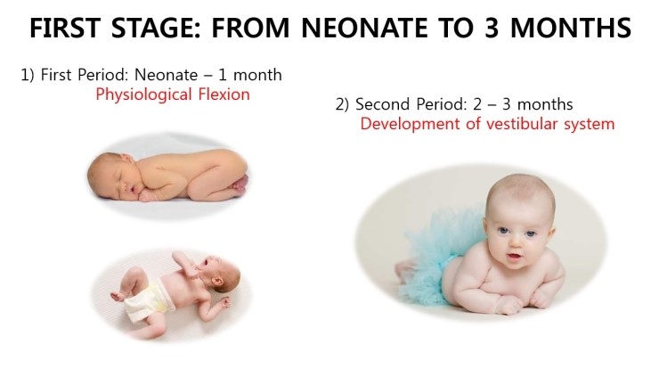 정상 발달 이야기 Flexed posture/ Physiological Flexion 2/2 : 네이버 블로그