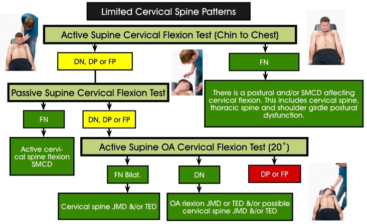 [움직임평가] 경추의 움직임 평가(Cervical Movement Pattern Test) / 안산재활, 안산피티, 안산체형교정 ...